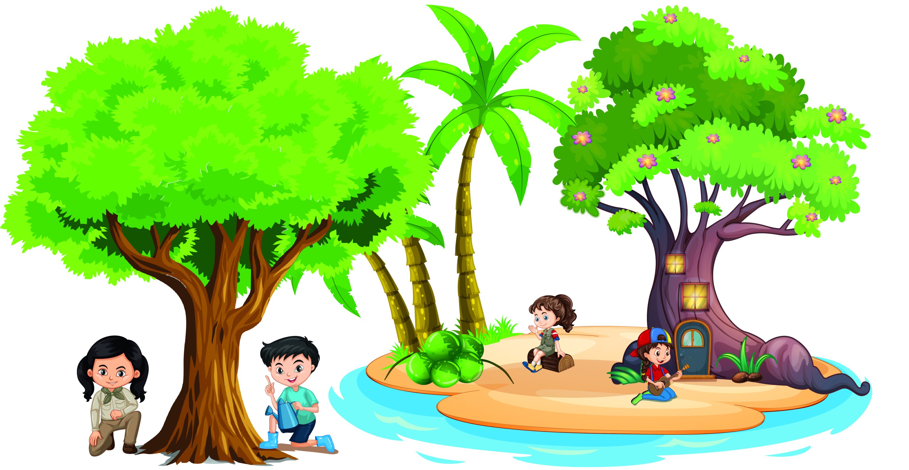 Çınar Ağacı Nasıl Bir Ağaçtır? – FundoMundo Keşfet