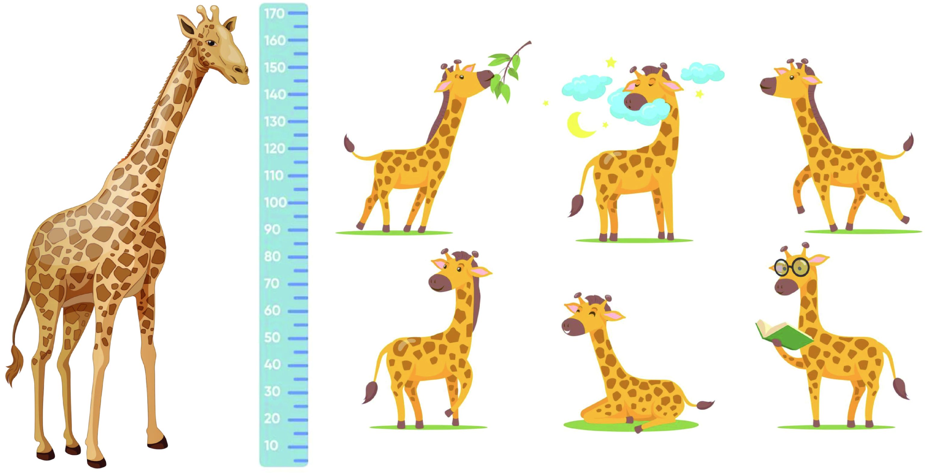 Zürafa Nasıl Bir Hayvandır? – FundoMundo Keşfet